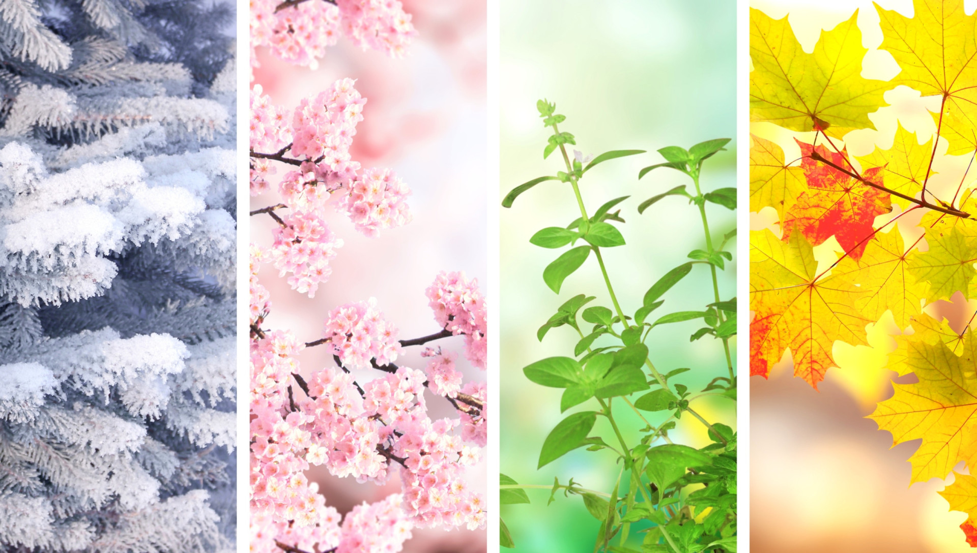 Is humanity inventing new seasons?