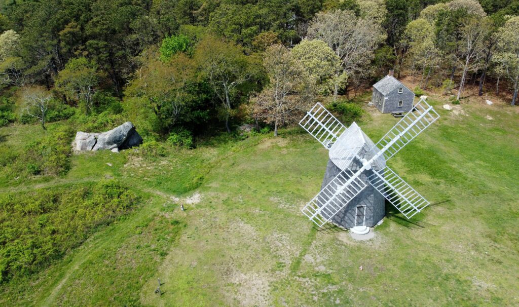 Trump Admin Pulls Plug On Green Energy Projects After President's Anti ...