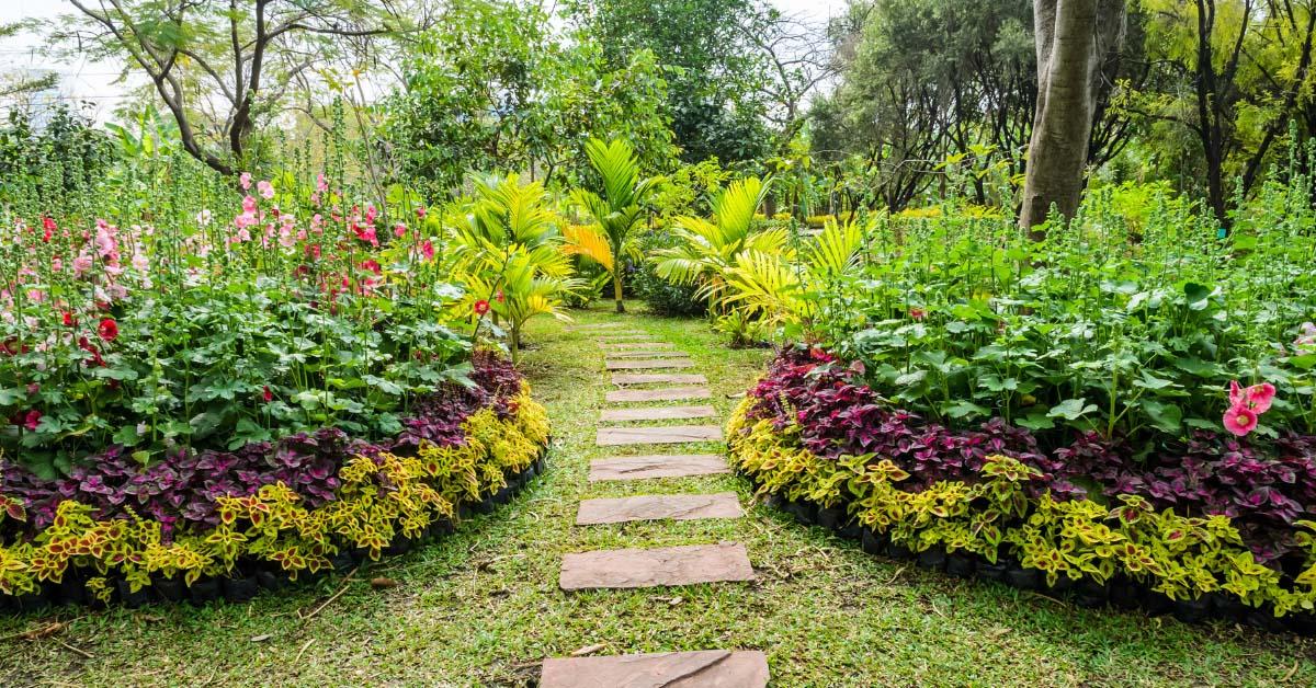 Disenar Un Jardin