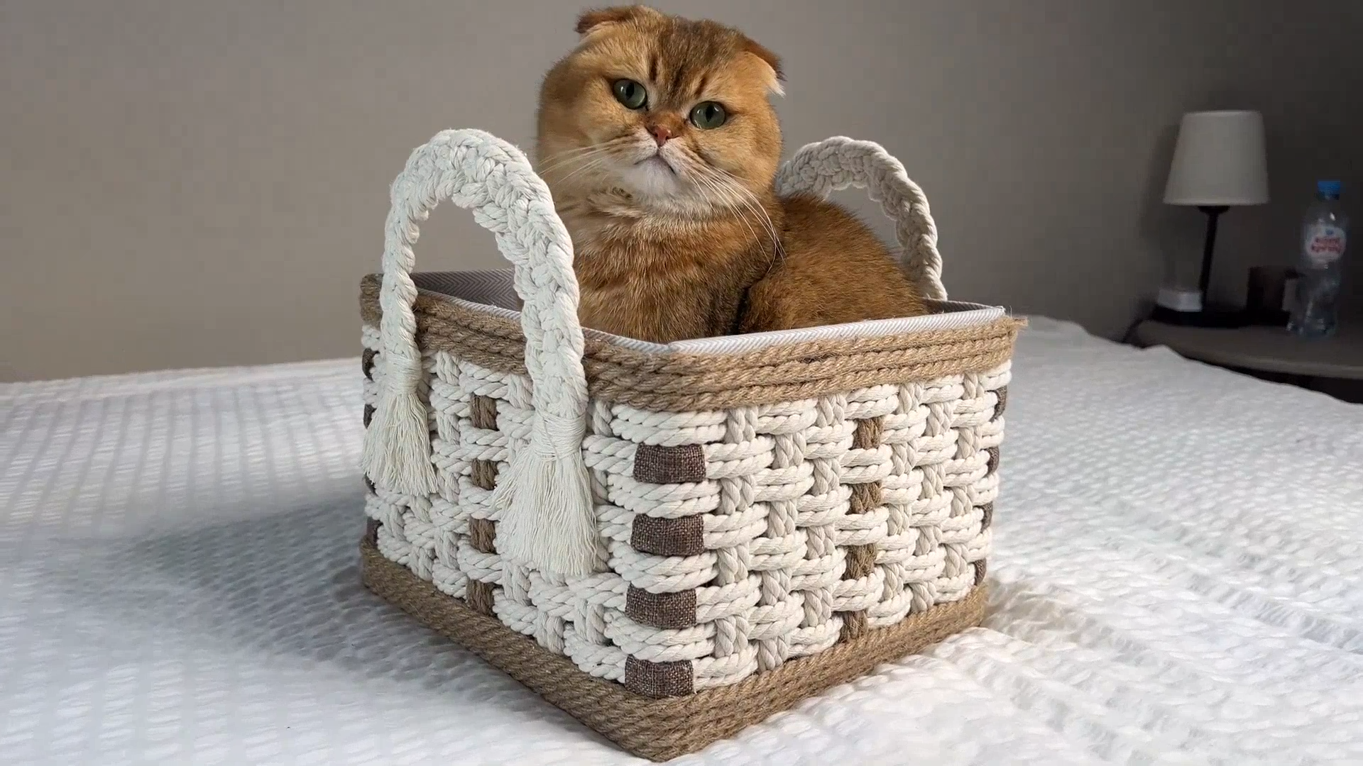 Saw It In An Expensive Store And Made It Myself! Storage Basket. DIY