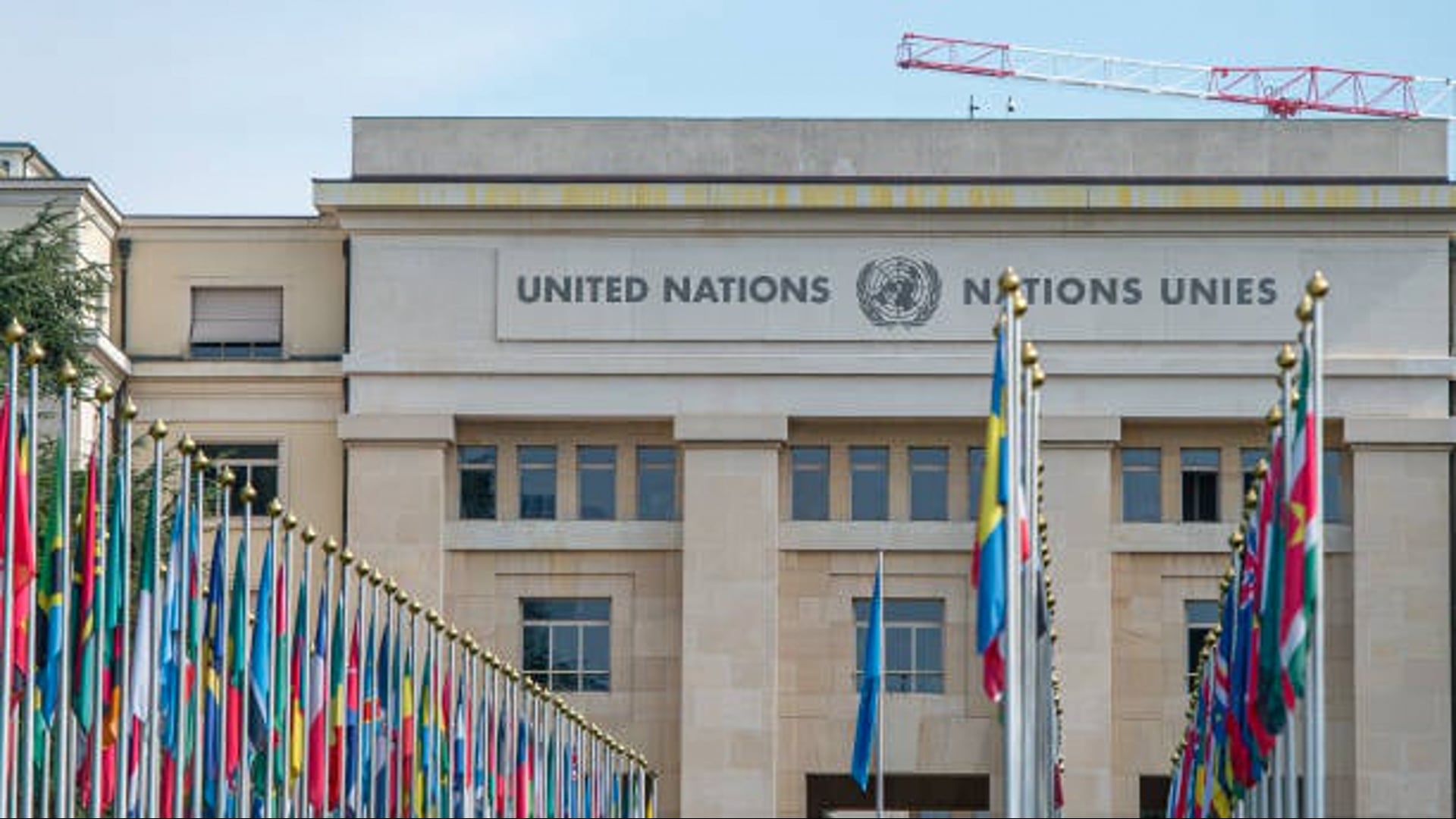 Quanti Stati Membri Delle Nazioni Unite Riconoscono La Palestina?