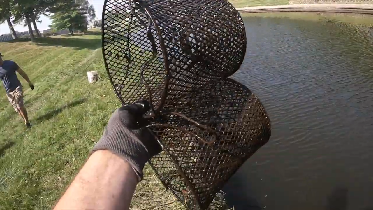 You Won’t Believe What Criminals Have Thrown Into This River!