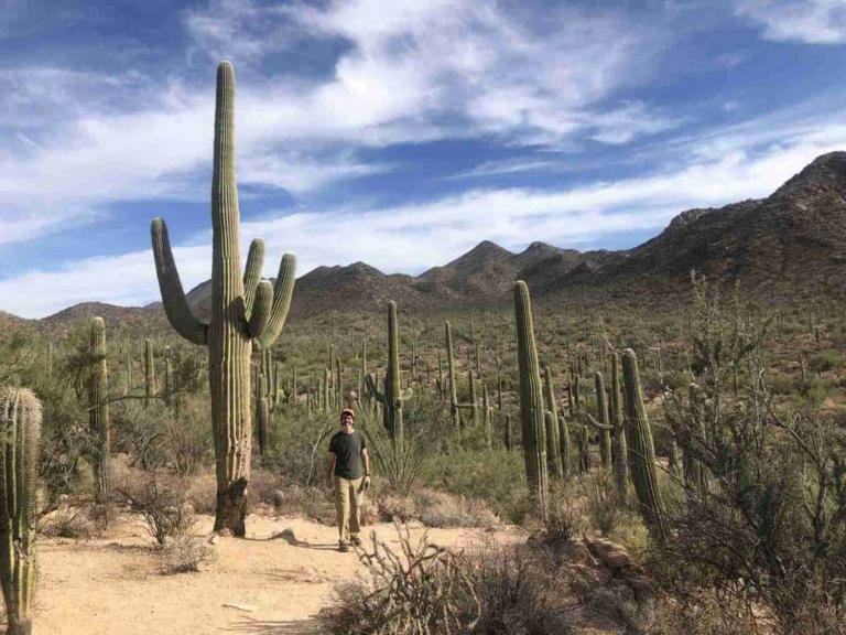7 awe-inspiring moments you can only experience at Saguaro National Park