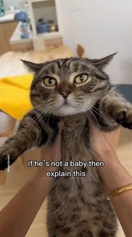 She Meows Like a Baby... Because She Is One