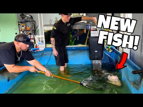I BOUGHT ALL THE FISH in His Garage Sale! *PART 1*