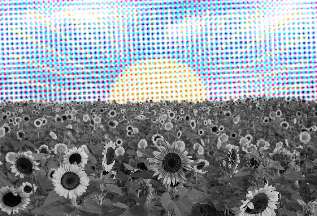 Statue of Traitor to Be Reinstalled in DC; We’re Going to Build a ...