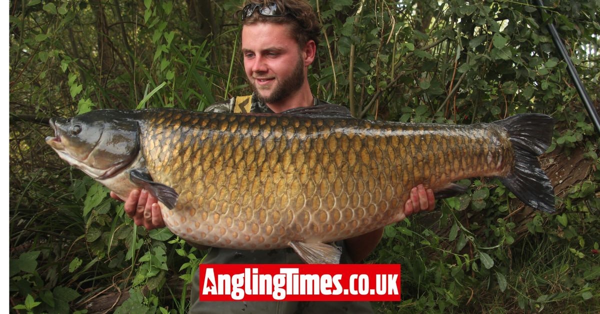 Monster grass carp is the biggest-ever banked after evading capture for ...