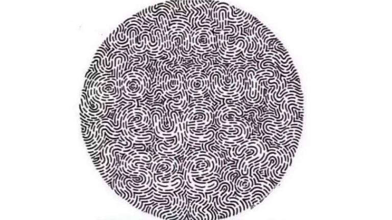 Optical illusion: Only those with 10/10 vision can read this hidden ...