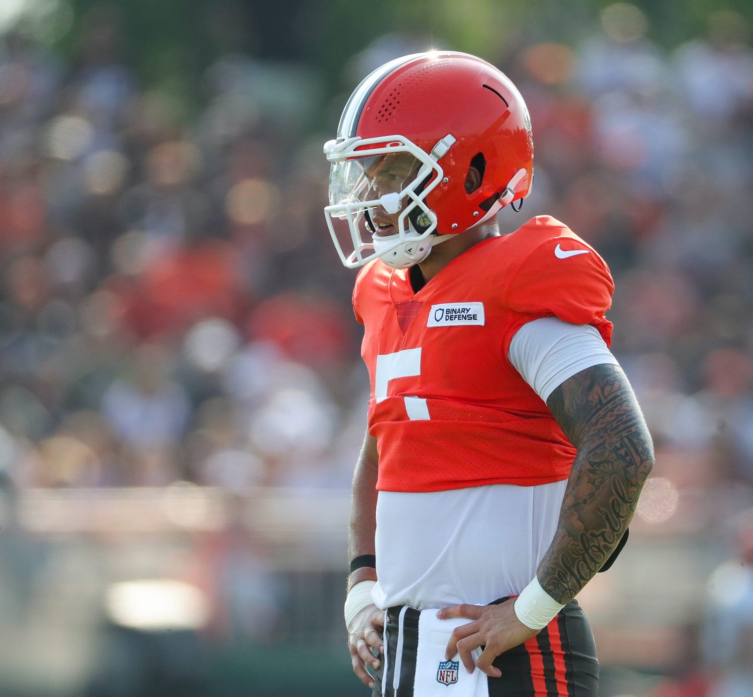 Where Dillon Gabriel stands in Cleveland Browns first unofficial depth ...