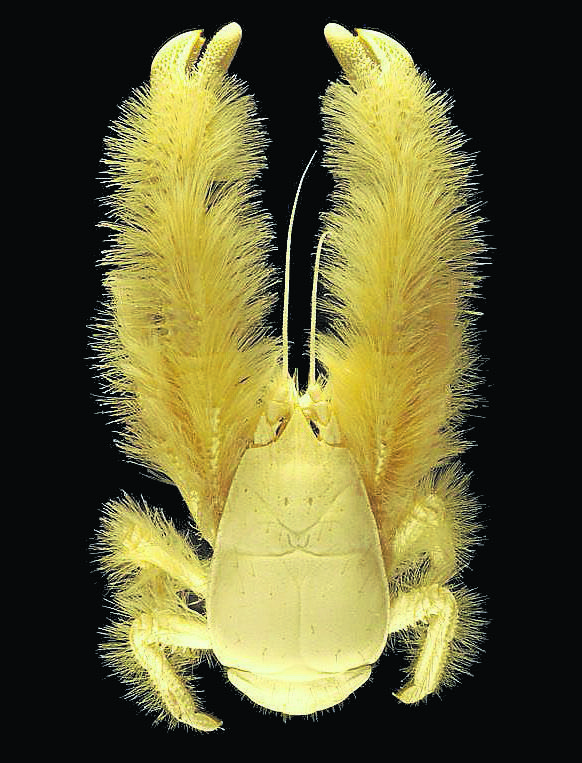 The 20 Rarest Things On Earth