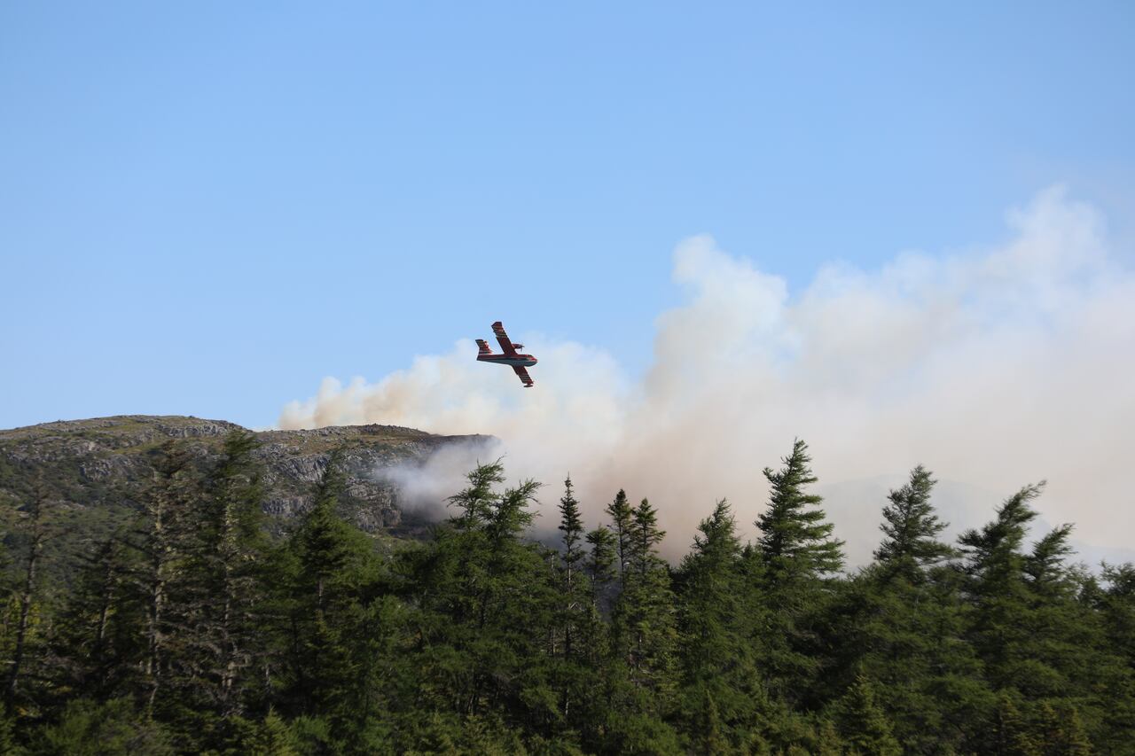 Raging wildfires force several Avalon communities to evacuate, others ...
