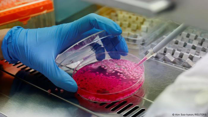 Fraudulent research is 'destroying trust in science'