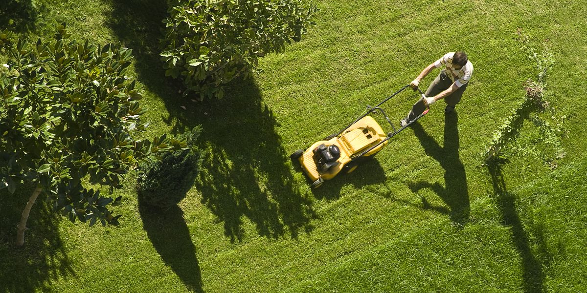 3 Simple Lawn-Care Steps to Do This Weekend for Healthy Grass All Year