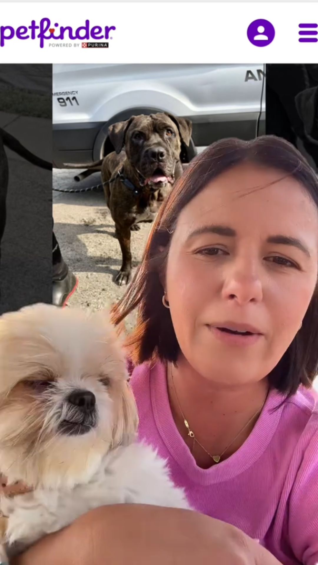 Chelsea Needs a Loving Home