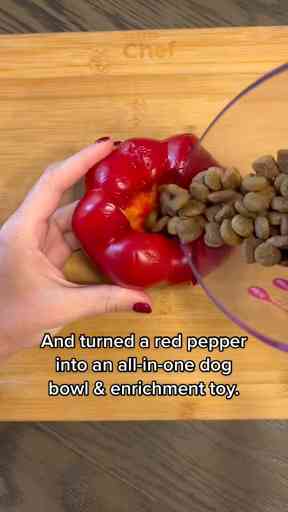 Why Bell Peppers Make Great Natural Dog Bowls