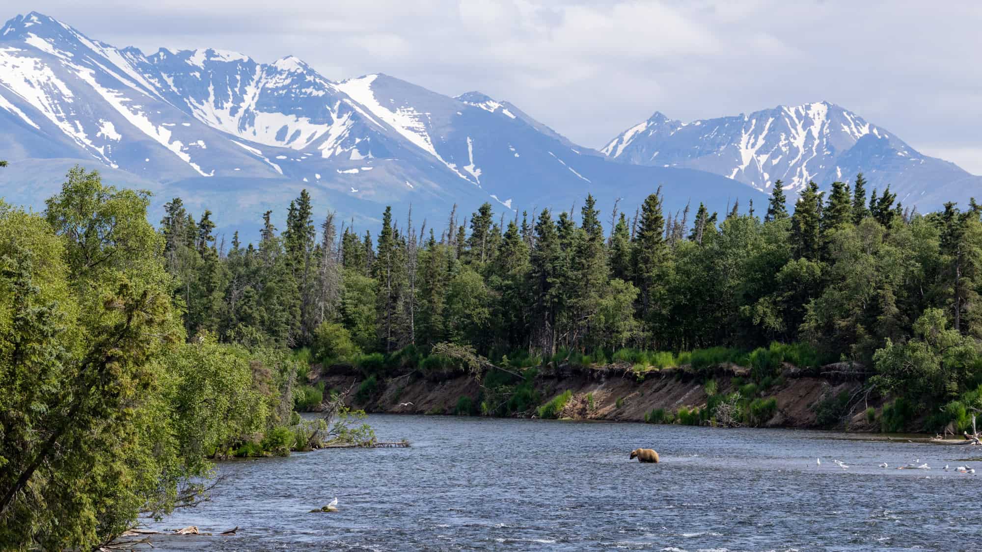15 Reasons Katmai Should Be On Every National Park Lover’s Bucket List