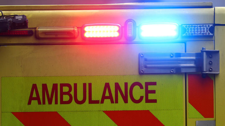 Man, 36, killed in hit and run on Chicago's South Side