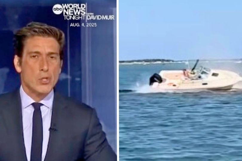 ABC's David Muir interrupts show to share terrifying video that ends in ...