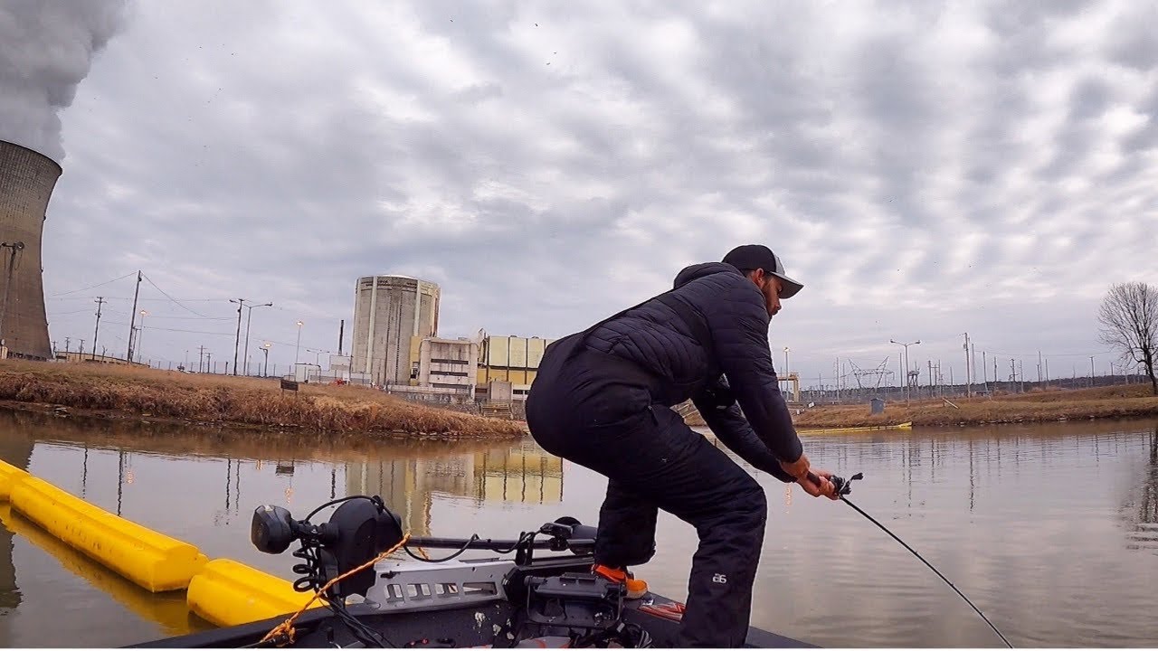 Fishing for dinner reveals shocking live bait results