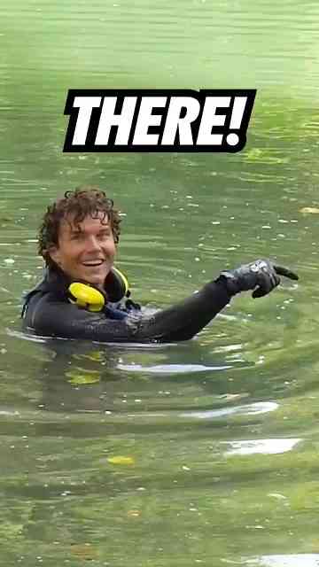 When Your Metal Detector Demands You Dig… Treasure Awaits!