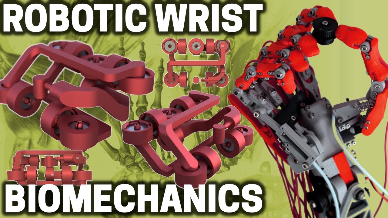 Wrist biomechanics for bionic hands explained