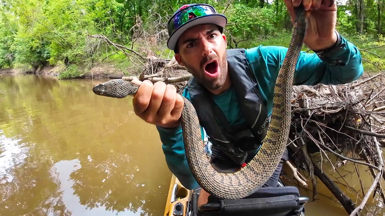 Bitten by giant diamondback while fishing snake-infested bayou