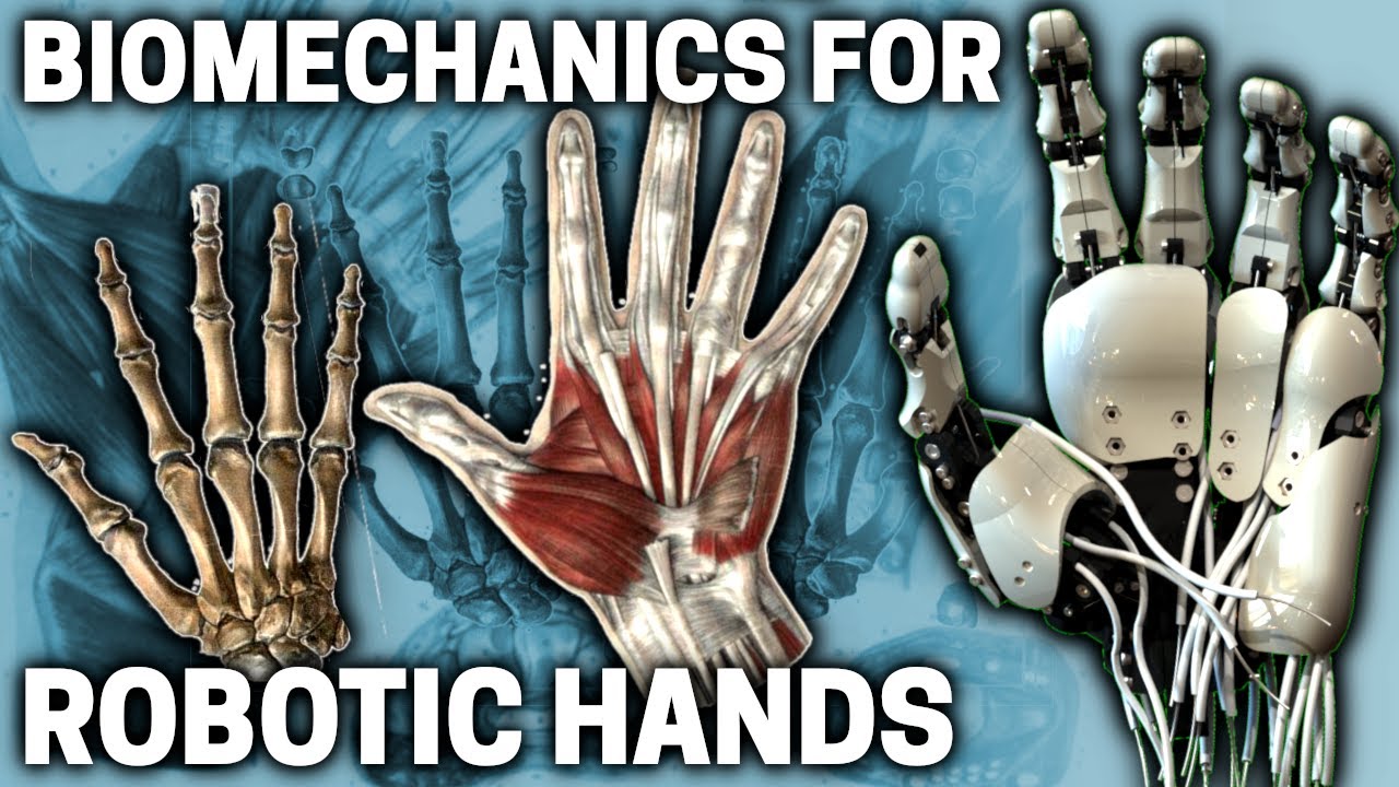 Biomechanics of the CMC Joint for Bionic Hands - Biomimetic Mechatronic ...