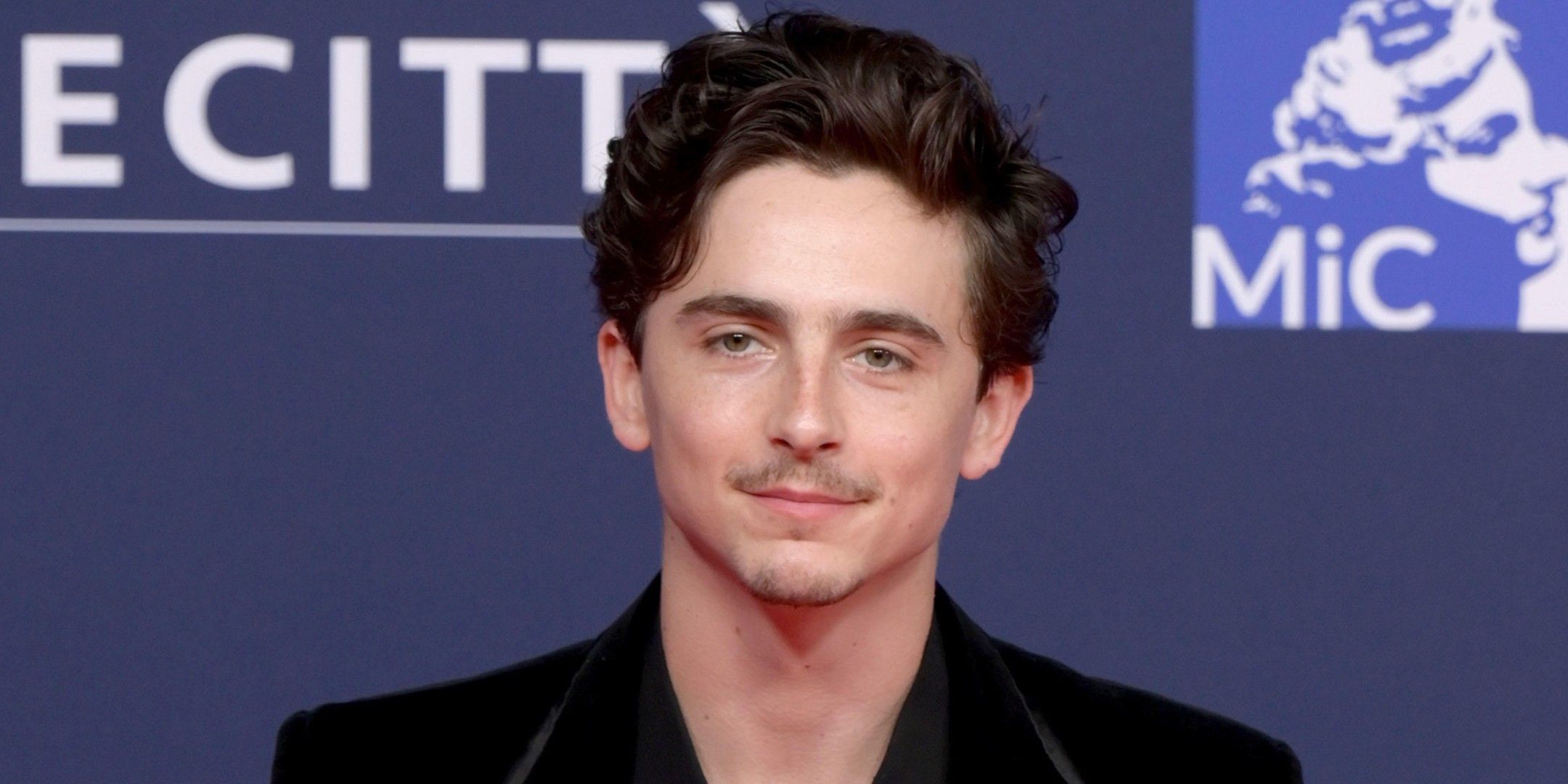Timothée Chalamet & A Complete Unknown Director Reteaming For A New ...