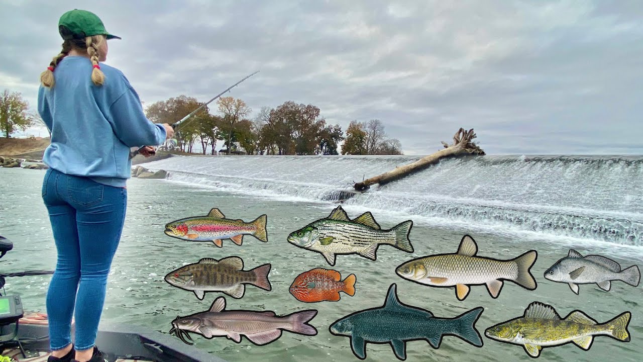 Can we catch every species in spillway with slab queen back