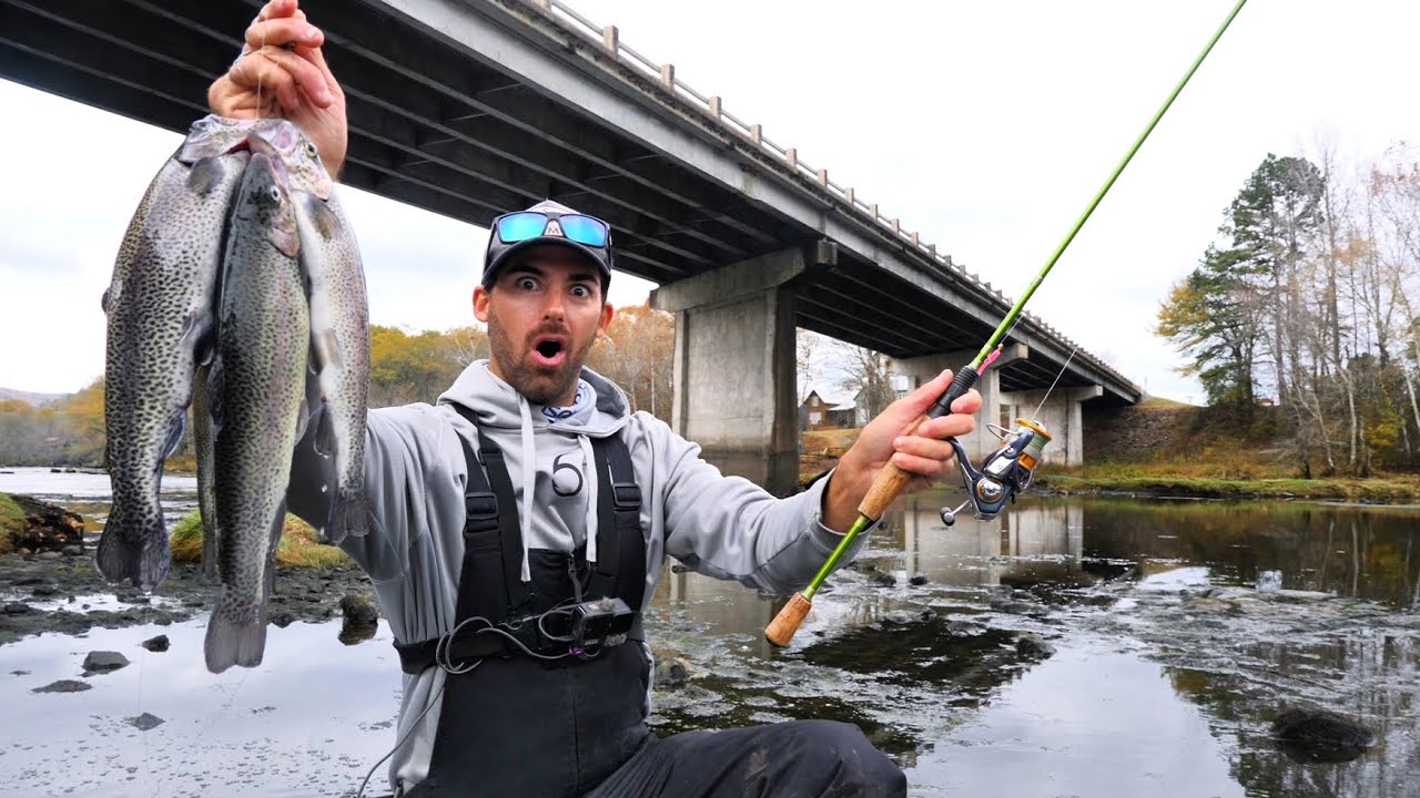 Bridge fishing loaded trout river catch and cook rainbow