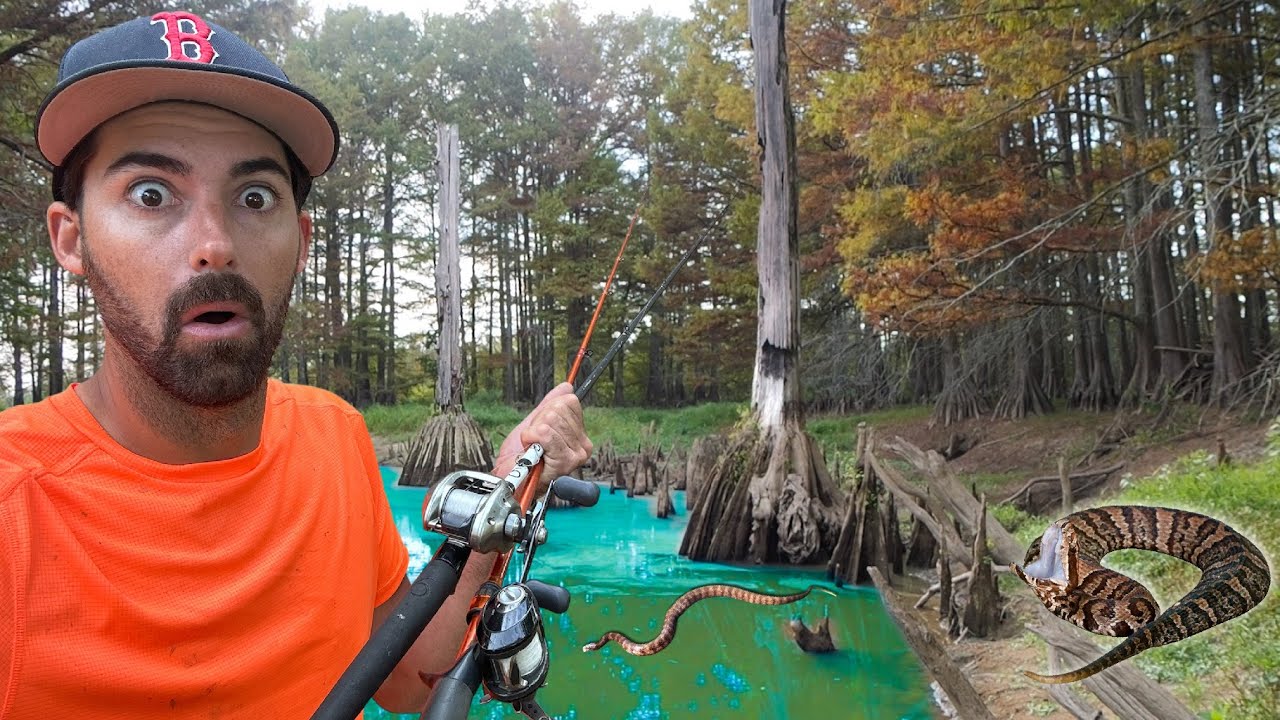 Snake-Infested Swamp Produces Super Stacked Fish Catch