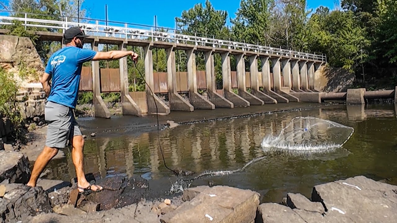 What’s really living beneath the dam of the draining lake
