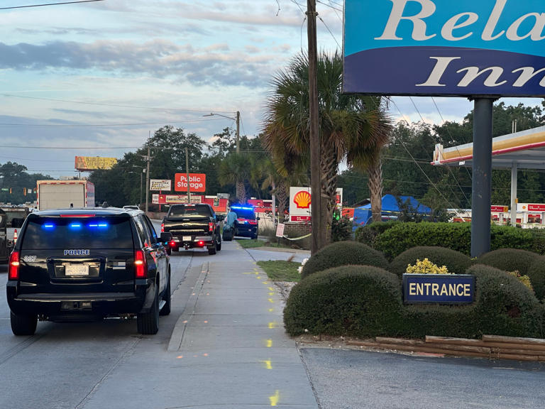 Charleston County coroner identifies pedestrian killed in auto ...