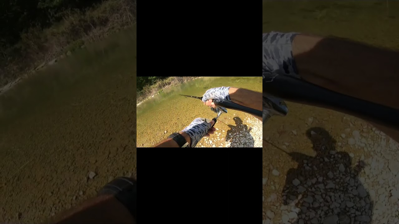 Return to mountain creek sparks hunt for big hungry fish