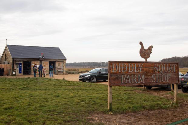 Diddly Squat Farm Shop opening update after Bovine TB outbreak