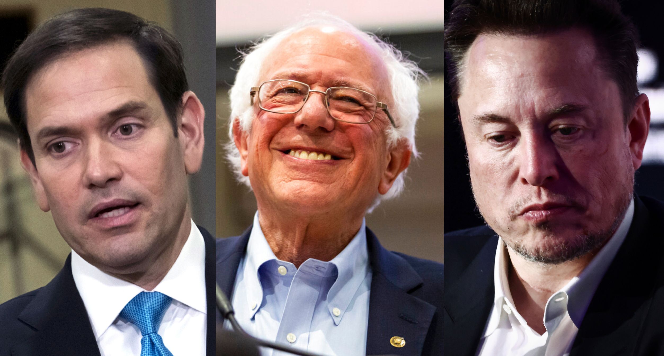 Marco Rubio Now as Unpopular as Elon Musk While Bernie Sanders Soars ...