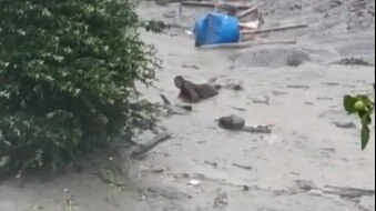 Man crawls out of sludge after flash flood hits Uttarakhand