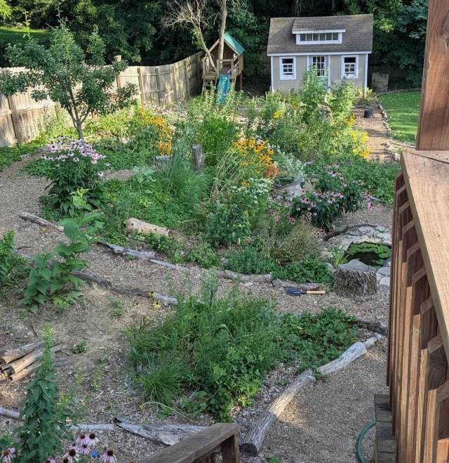 Homeowner shares stunning photos after transforming boring grass lawn ...