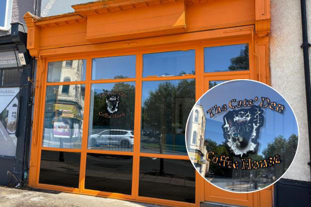 Plans for a new 'cat cafe' in Darlington underway as work begins on ...