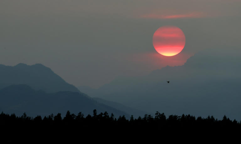 Where are Washington wildfires burning? Wildfire smoke map shows size ...