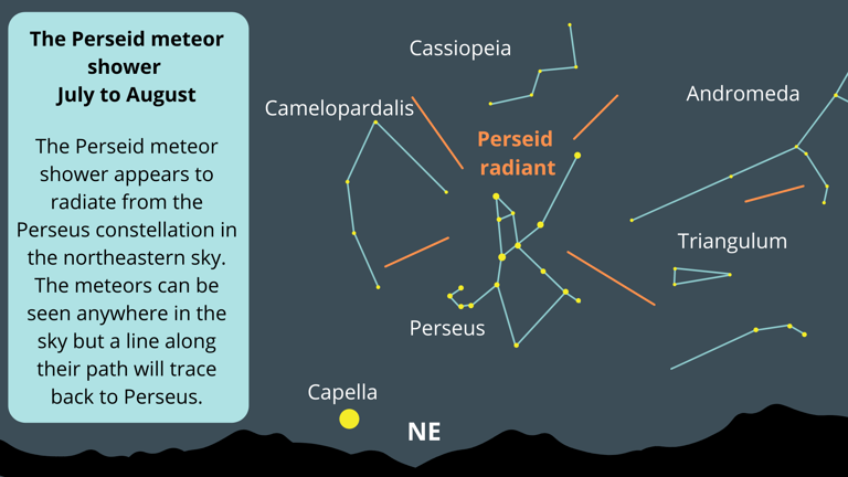 Don't miss Perseid meteor shower 2025 peak Aug. 12-13: Here's what you ...