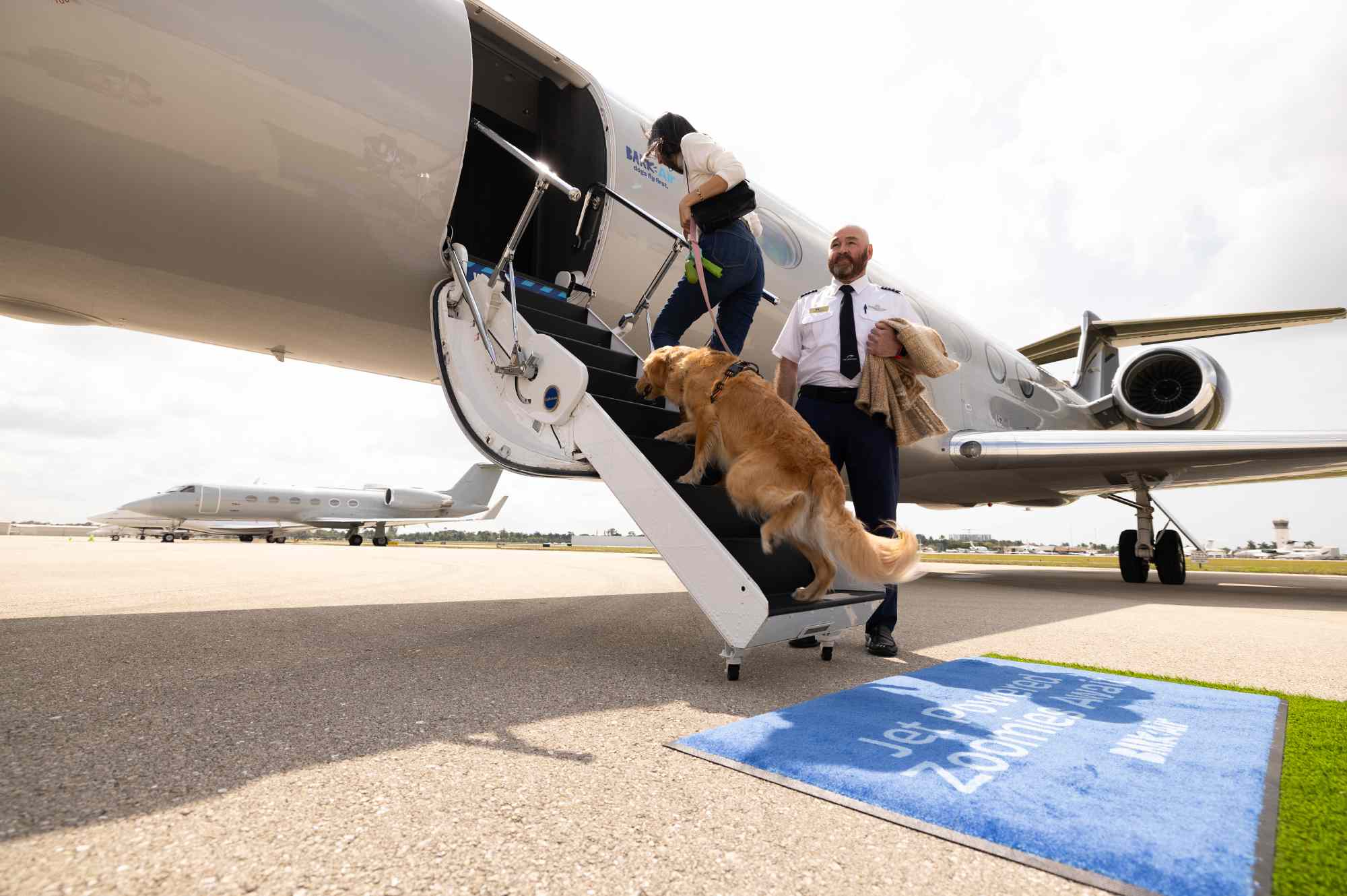This Airline for Dogs (and Their Humans) Is Expanding Flights Across ...