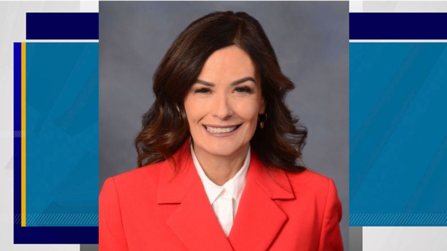 Republican State Sen. Carrie Buck announces run for Dina Titus ...