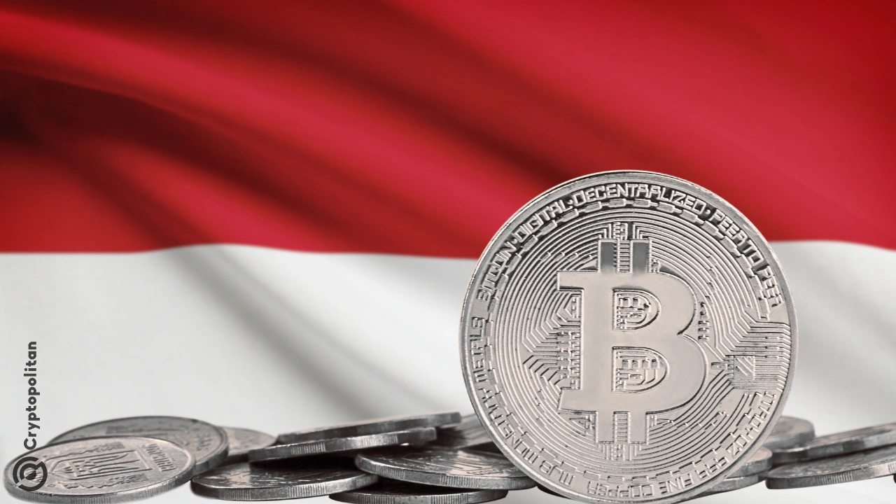Indonesia’s Sovereign Fund could start accumulating Bitcoin