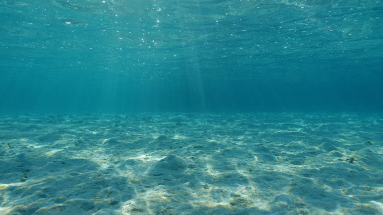 Good Question: Why do we know more about space than our own oceans?