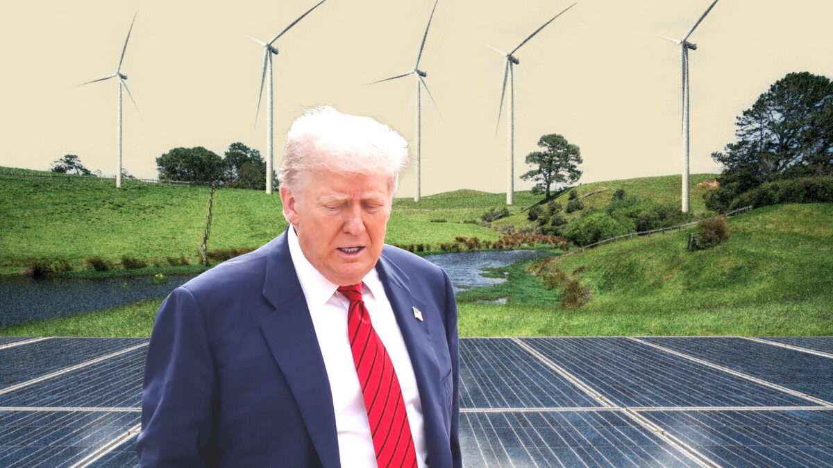The Trump Administration's Move To Halt Wind and Solar Development on ...