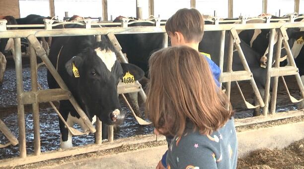 Lewis County farms opening to public this weekend