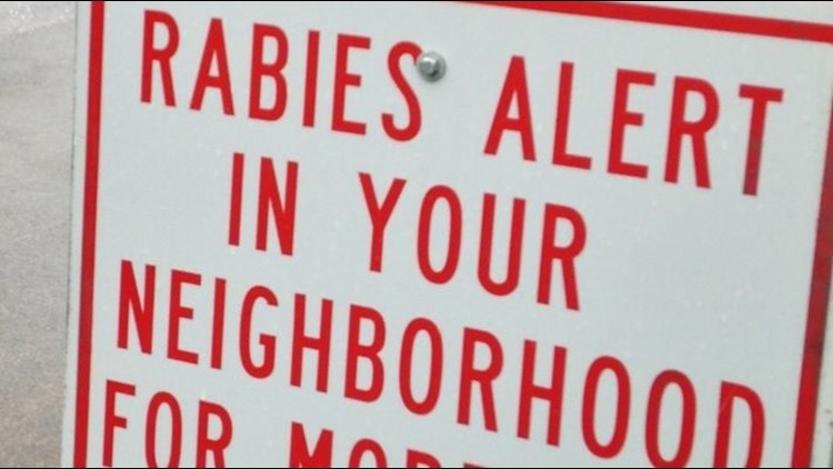 Raccoon in Gwinnett County tests positive for rabies after attacking dog