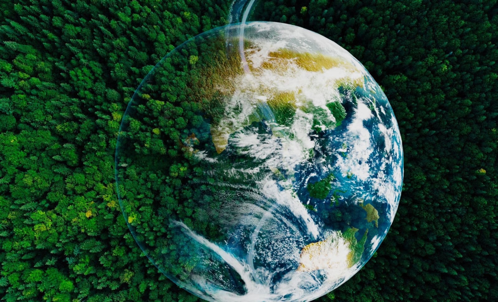 Earth Is Greener Than Ever, But the Oceans Are Losing Their Battle