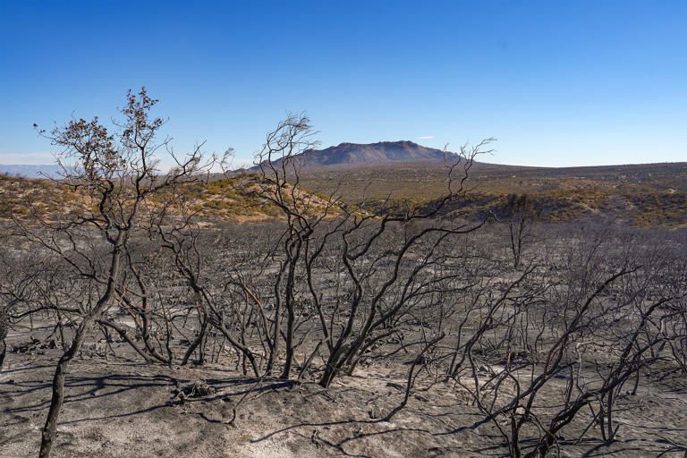 Rosa Fire: Blaze along Highway 74 grows to 1,658 acres, 15% contained